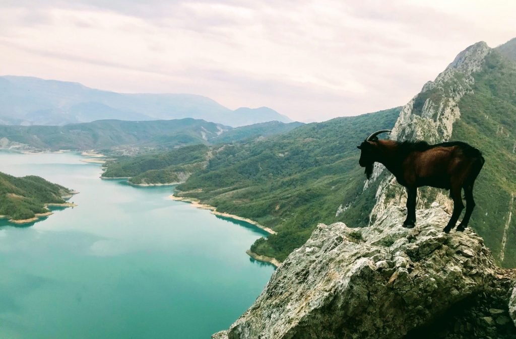 De mooiste reizen naar de Balkan vind je bij Balkanreis.nl!